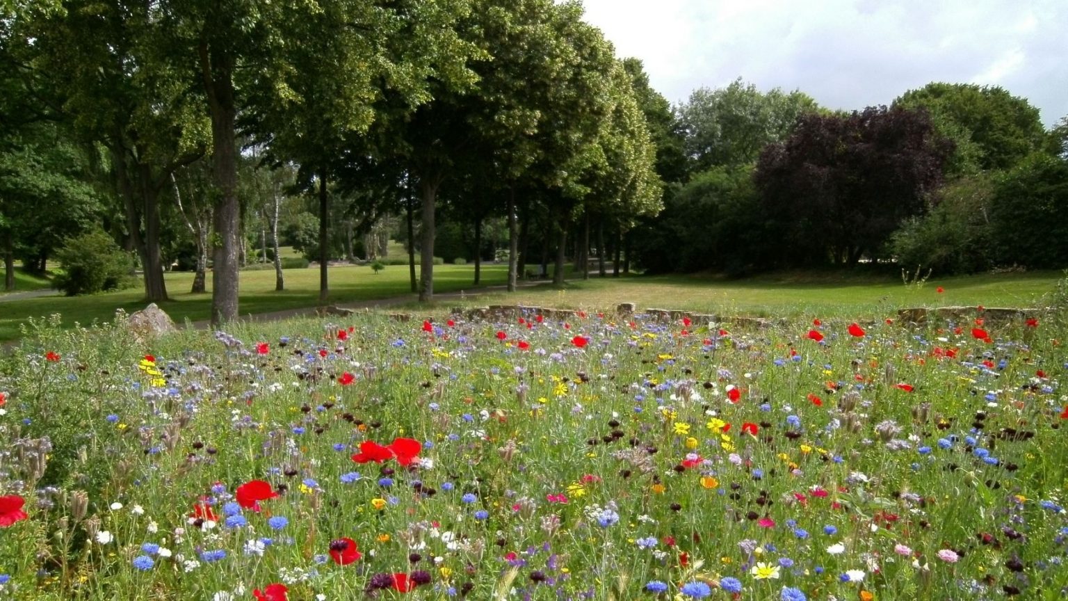 101 Garden & Landscaping Blog Post Ideas